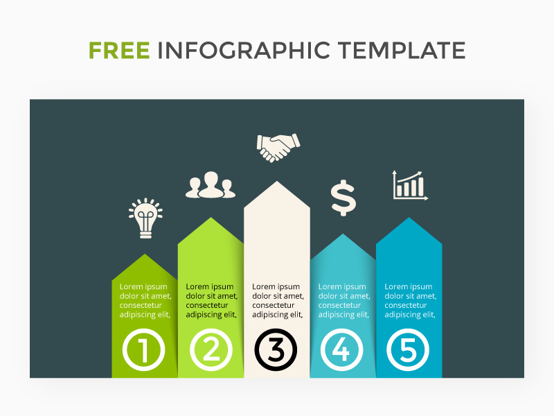 Startup Steps Infographic Template Free PSD Template PSD Repo