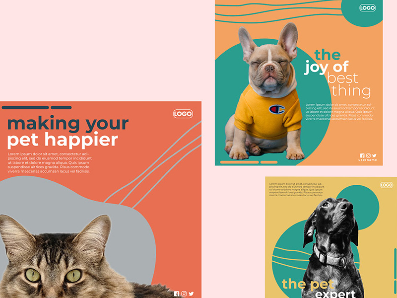 Instagram Post Template For Pet Lovers | Free PSD Template | PSD Repo